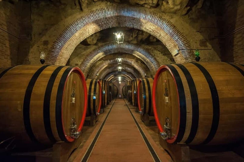 Florence: Horseback Riding, Wine Tasting & Cooking Class - Wine and Olive Oil Tasting