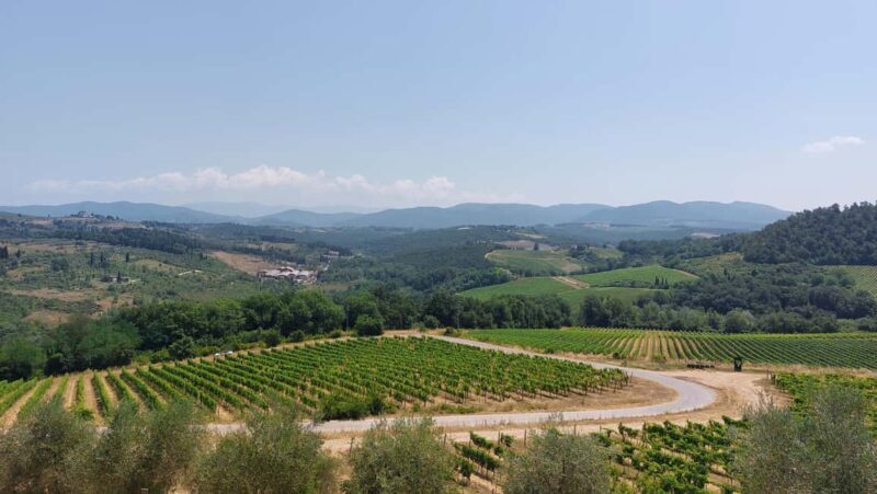 Florence like a local wine teasting - A Toast with Tuscan Wines