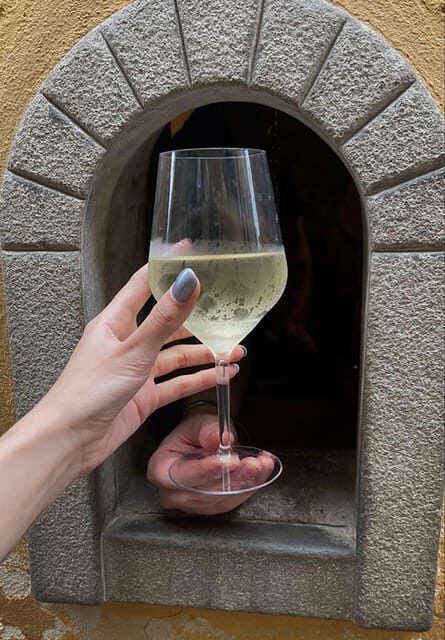 Florence: Michelangelos David & A Sip Through a Wine Window - Who Will Love This Tour?