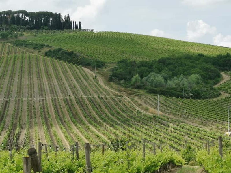 Florence: Panoramic Tour to Fiesole and Michelangelo Square - Exploring the Itinerary in Detail