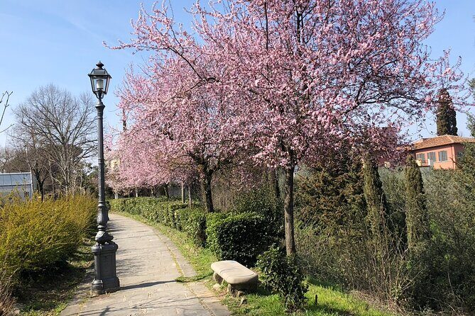 Florence Photo Safari Walking Tours - Who Should Consider This Tour?