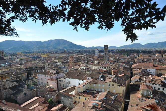 Florence Private Day Trip to Pisa and Lucca - Getting the Most From Your Private Day Trip