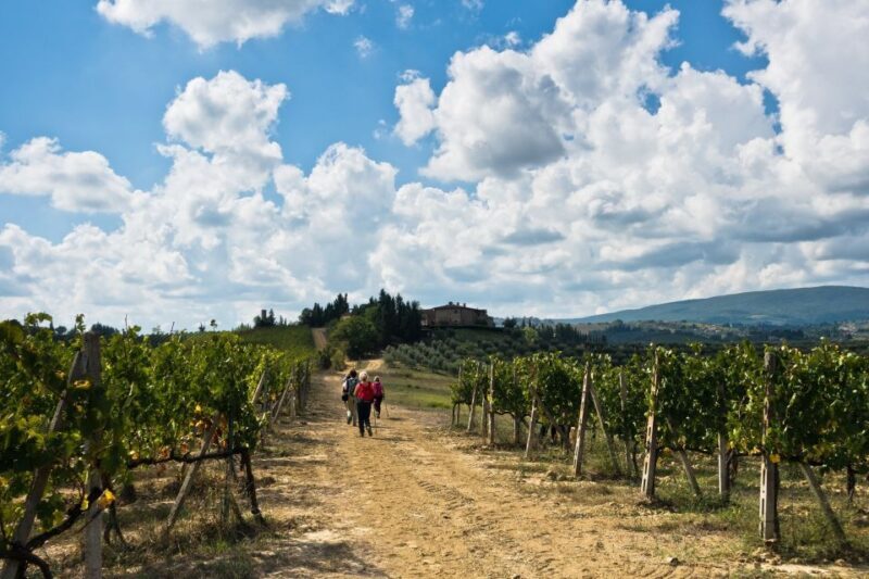 Florence: Private full day tour to Chianti Wine Region - Why Choose This Tour?