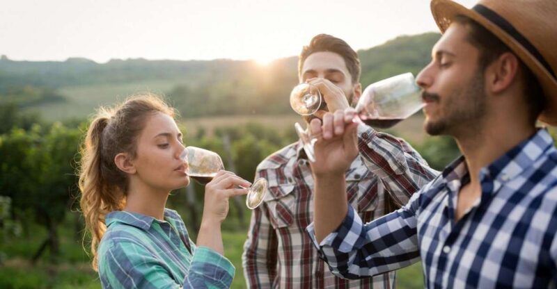 Florence: Private Half-Day Chianti Tour - Key Points