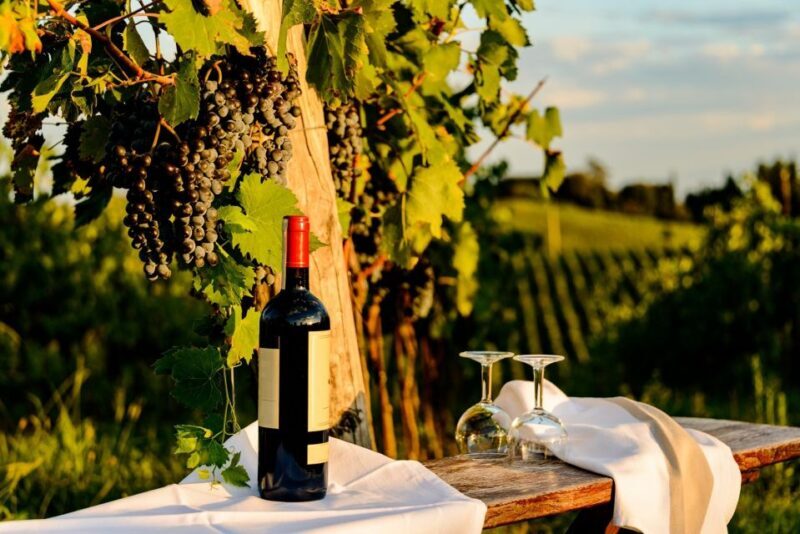 Florence: Private Half-Day Chianti Tour - Who Will Love This Tour?