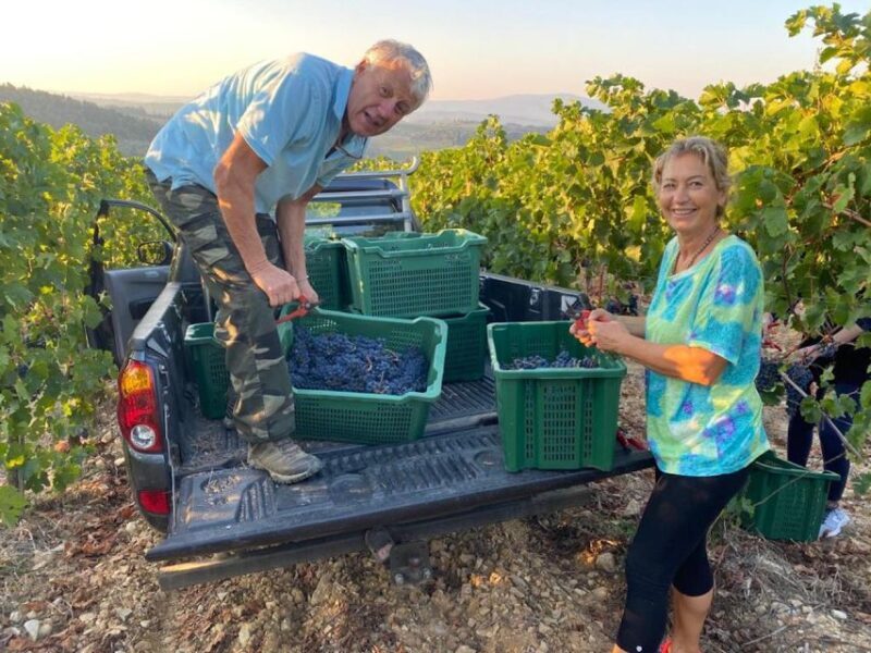 Florence: Private Siena, San Gimignano and Chianti Tour - FAQ
