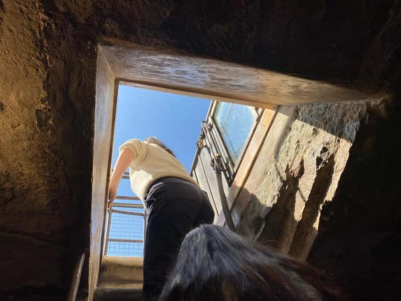 Florence Private Tour: Brunelleschis Dome Experience - Final Thoughts