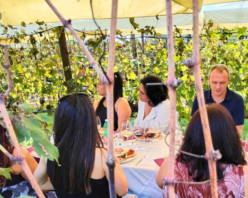 Florence: Private Tuscany Wine Tour with San Gimignano - A Closer Look at the Tuscany Private Wine Tour
