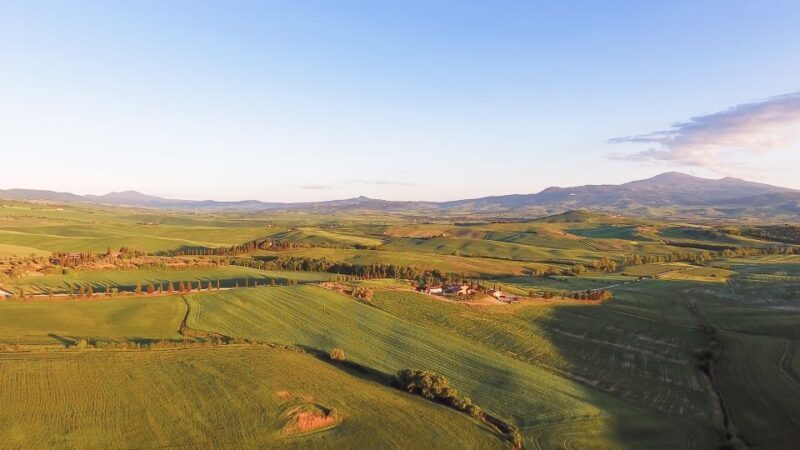 Florence: S. Gimignano, Siena, Chianti & Wine Tasting Lunch - An Overview of the Experience