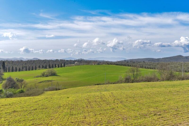Florence: San Gimignano & Volterra Day Trip with Food & Wine - An Introduction to the Tour