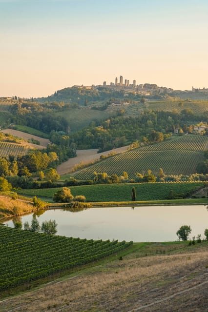 Florence: Siena - Chianti - San Gimignano Private Tour - Returning to Florence and Reflections on the Day