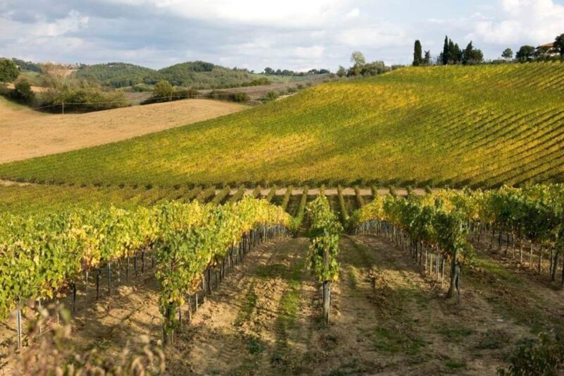 Florence: Siena & San Gimignano Day Trip with Lunch & Wine - FAQs