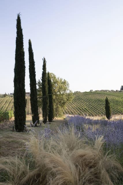 Florence: Tradition Reinvented wine experience - An In-Depth Look at the Experience