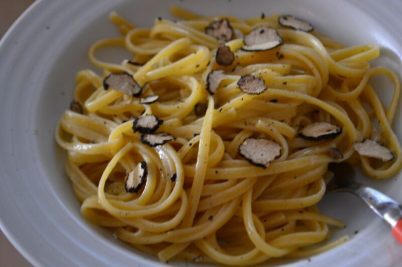 Florence: Truffle Hunting, Lunch, and Wine Tasting Tour - Key Points