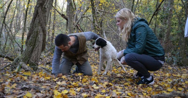 Florence: Truffle Hunting, Lunch, and Wine Tasting Tour - Practical Considerations and Tips