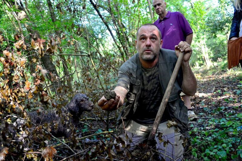 Florence: Truffle Hunting, Lunch, and Wine Tasting Tour - FAQ