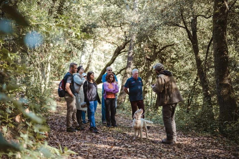 Florence: Truffle Hunting with Lunch, Wine & San Gimignano - Introduction