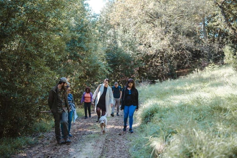 Florence: Truffle Hunting with Lunch, Wine & San Gimignano - Key Points