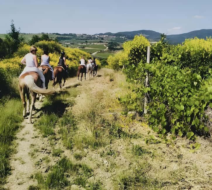 Florence: Tuscan Countryside Horseback Ride - An Authentic Taste of Tuscany on Horseback