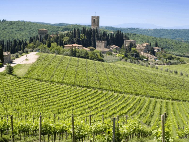 Florence: Tuscan Day trip Siena San Gimignano, Pisa, - Key Points