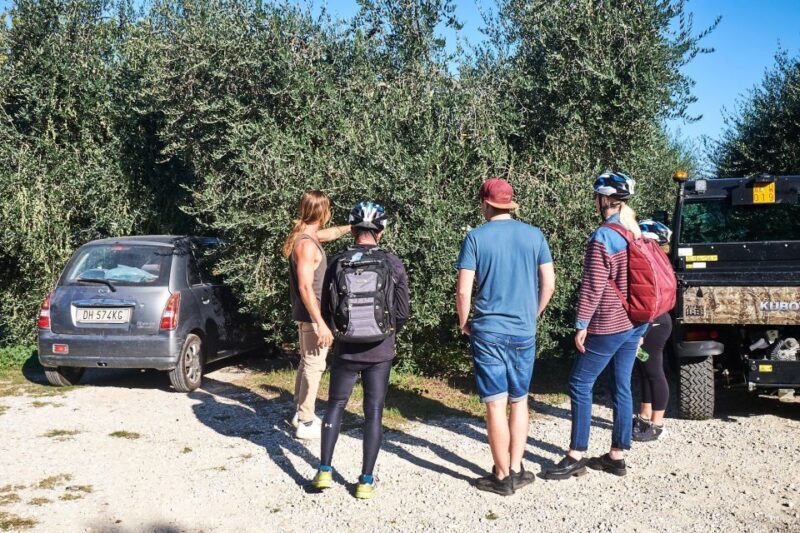 Florence: Tuscan Hills E-Bike Tour with Olive Oil Tasting - The Olive Oil Tasting Experience