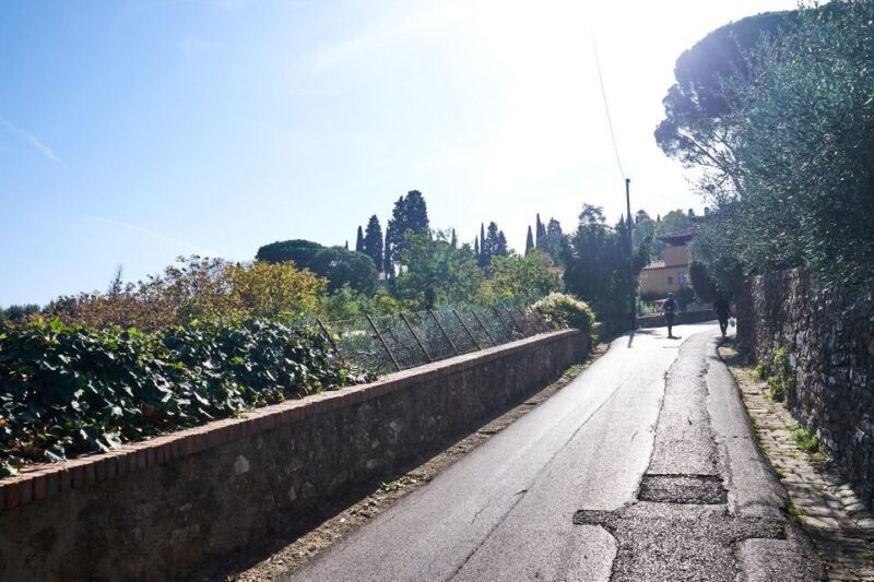 Florence: Tuscan Hills E-Bike Tour with Olive Oil Tasting - Who Might Not Love It?