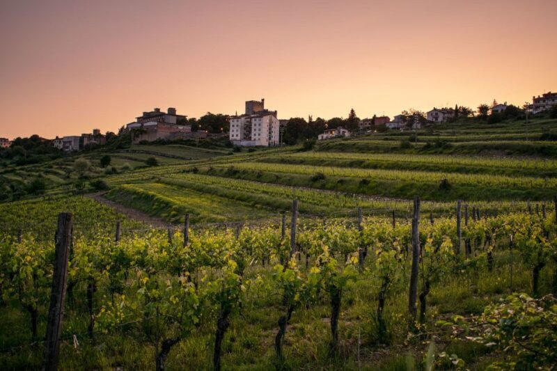 Florence: Tuscany Chianti Winery Private Day-Trip with Lunch - Key Points