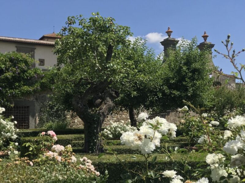 Florence: Tuscany Chianti Winery Private Day-Trip with Lunch - Why This Tour Offers Great Value