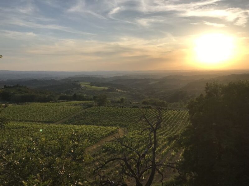 Florence: Tuscany Chianti Winery Private Day-Trip with Lunch - Who Will Love This Tour?