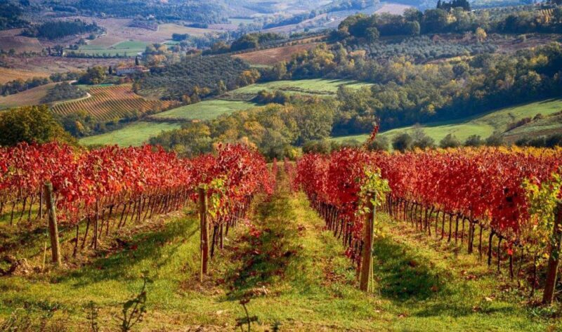 Florence: Tuscany Chianti Winery Private Day-Trip with Lunch - Final Thoughts