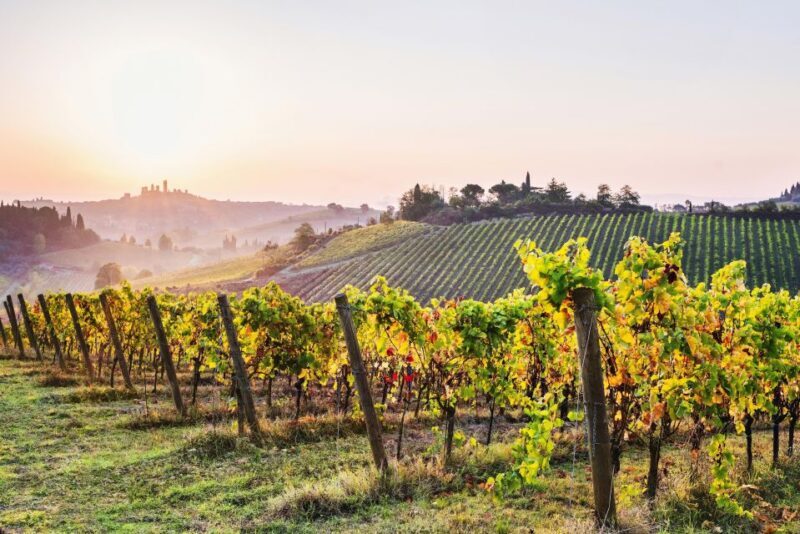 Florence: Tuscany Day Trip to Siena & San Gimignano - Key Points