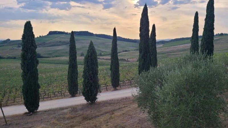 Florence: Two Wine Tastings in Tuscany+ San Gimignano - Discovering Tuscany Through Wine: A Closer Look at the Two Wine Tastings + San Gimignano Experience