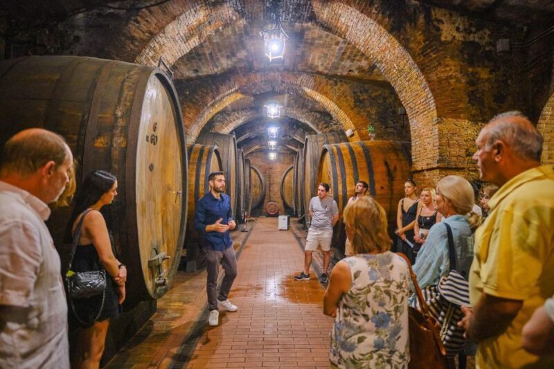 Florence: Val d'Orcia Private Chauffeur-Driven Tour - The Transportation: Comfort and Convenience
