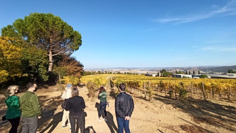 Florence: Valdorcia Wine, Brunello Montalcino, Montepulciano - Who Will Love This Tour?