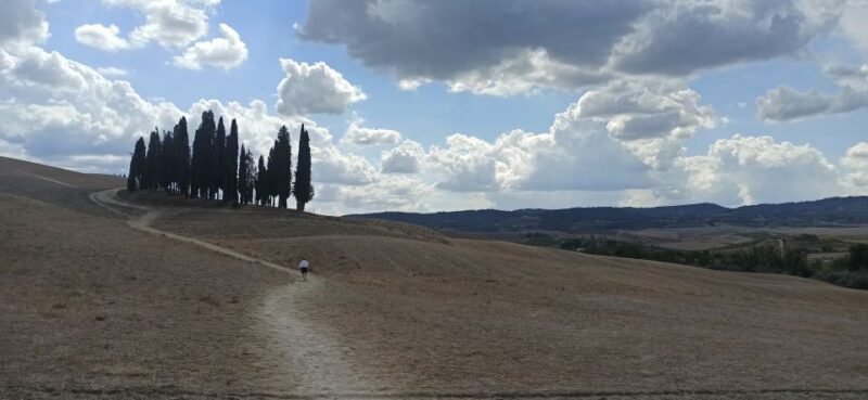Florence: Valdorcia Wine, Brunello Montalcino, Montepulciano - FAQs