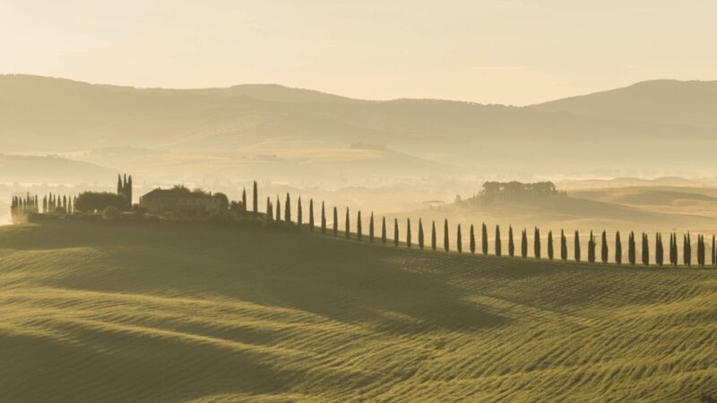 Florence:Day Tour to Siena&Baccoleno&Chapel w/ PrivateDriver - Key Points