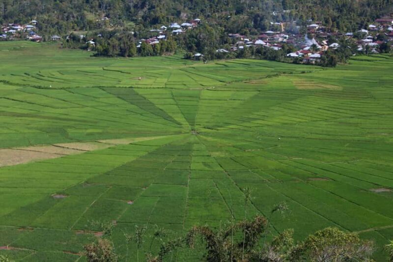 Flores: 7-Day Guided Tour with Snorkeling & Sightseeing - Key Points