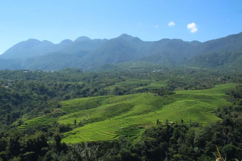 Flores Island Tour : 4 Days explore the culture & nature - The Sum Up