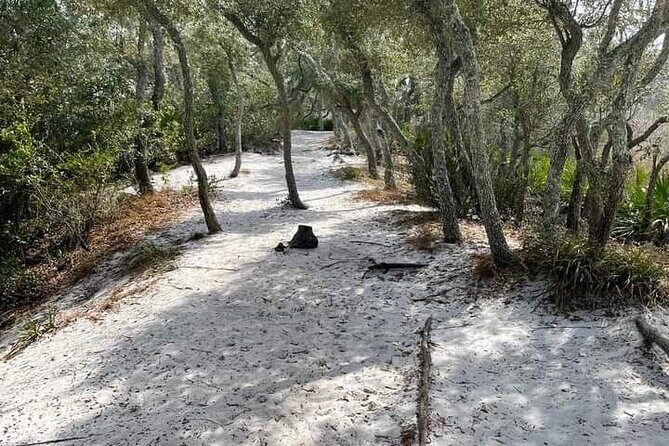 Florida Backcountry Overnight Camping Adventure - Who Would Love This Tour?