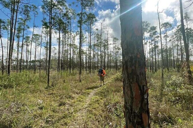Florida Backcountry Overnight Camping Adventure - Key Points