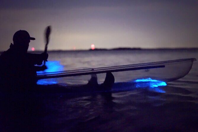 Florida Bioluminescence Clear Kayak tour/ Beacon 42 (Titusville) - A Closer Look at the Experience
