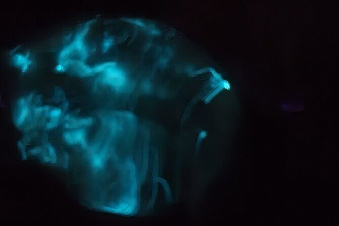 Florida Bioluminescence Clear Kayak tour/ Beacon 42 (Titusville) - Who Will Love This Tour?