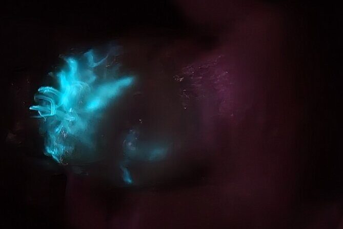 Florida Bioluminescence Kayaking Tour (Titusville) - The Sum Up: Who Should Consider This Tour?
