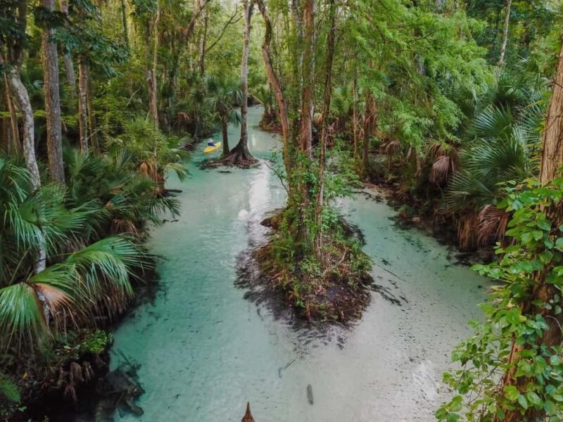 Florida: Emerald Cut Kayak Adventure - An In-Depth Look at the Emerald Cut Kayak Adventure