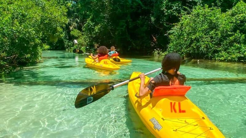 Florida: Emerald Cut Kayak Adventure - Practical Tips for Your Kayak Adventure