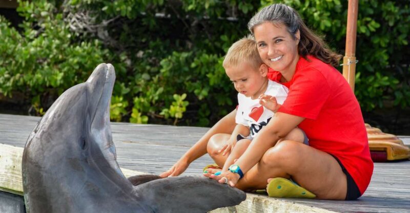 Florida Keys: Dockside Dolphin Experience - Key Points