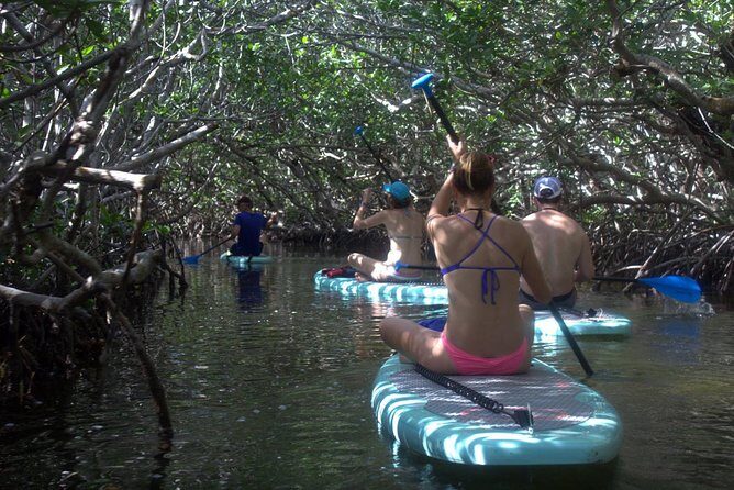 Florida Keys Eco Tour: Snorkel, Kayak, Lunch + Transportation! - A Closer Look at the Florida Keys Eco Tour