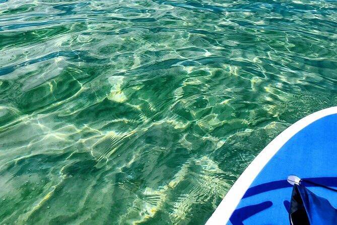 Florida Keys Eco Tour: Snorkel, Kayak, Lunch + Transportation! - Practical Details and Considerations