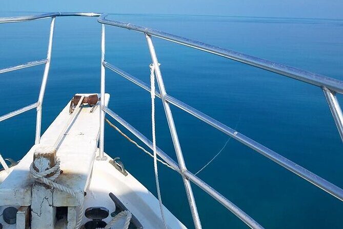 Florida Keys Eco Tour: Snorkel, Kayak, Lunch + Transportation! - Final Thoughts