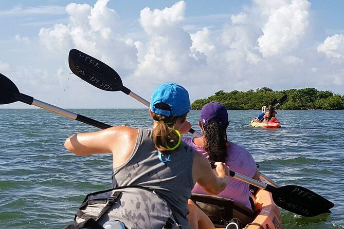 Florida Keys Eco Tour: Snorkel, Kayak, Lunch + Transportation! - FAQ